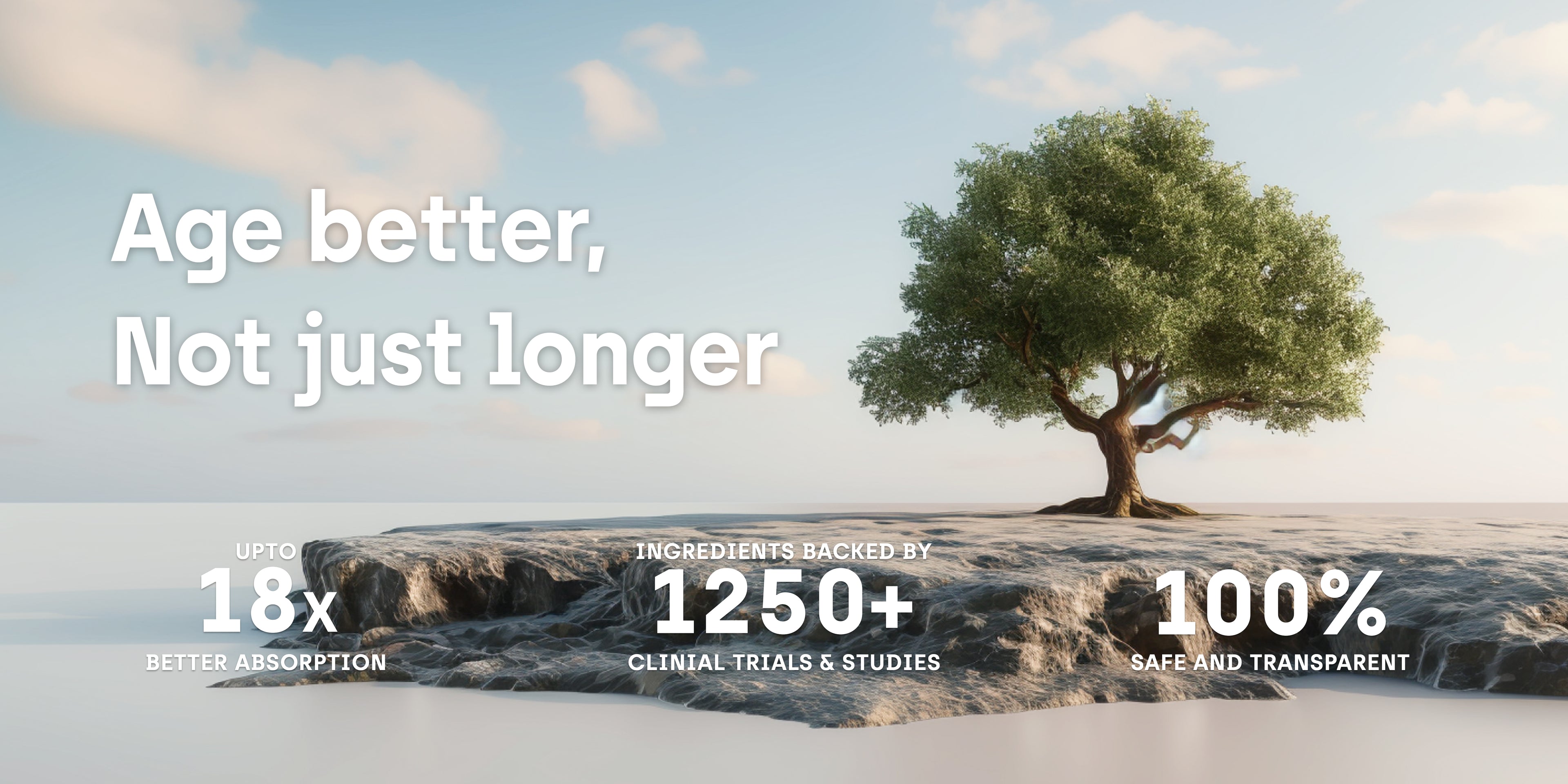 The Oak Age – Supplements and Learning Resources for Healthy Ageing